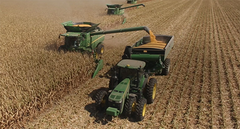 Golden Harvest Seeds